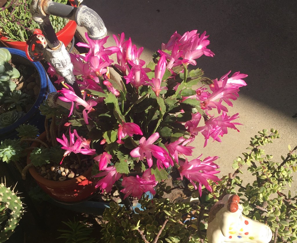 2019 | Three Worlds One Vision